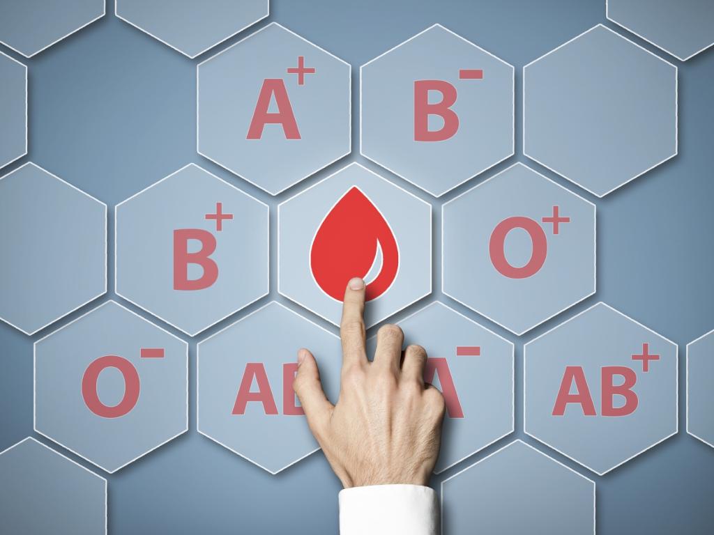 7 неща които кръвната ви група казва за тялото ви Любопитно Vesti Bg