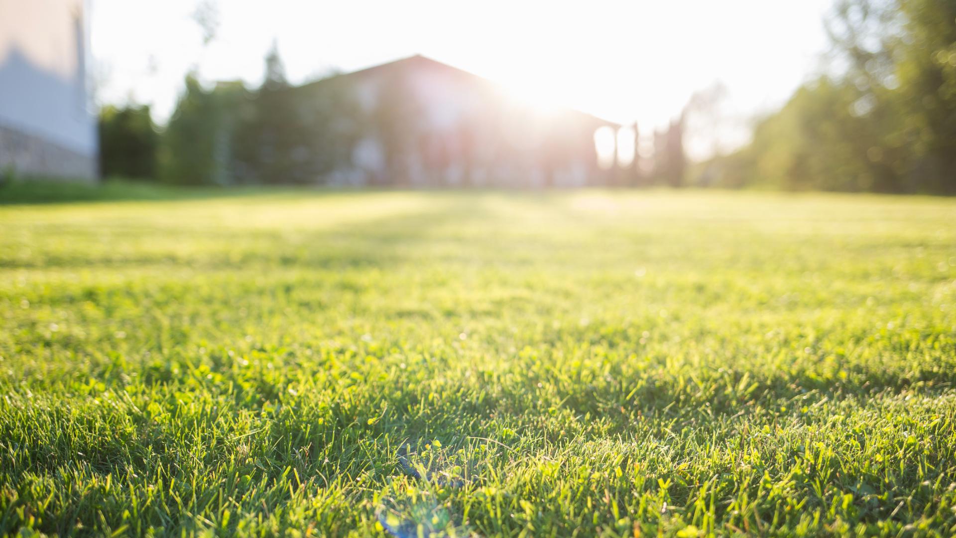 Откриха захвърлена в тревата базука на Бонсови поляни край София|Vesti.bg