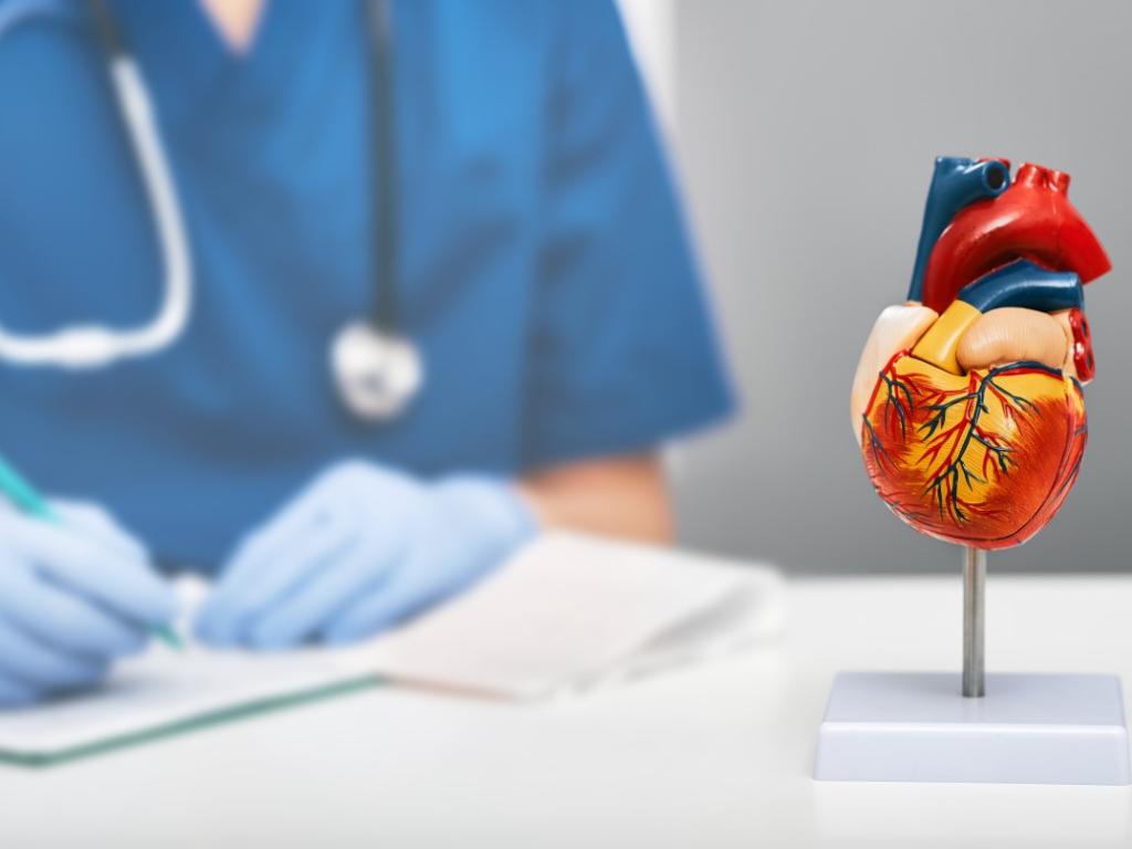 Най-добрите и най-лошите храни за сърцето според лекарите - Любопитно ...