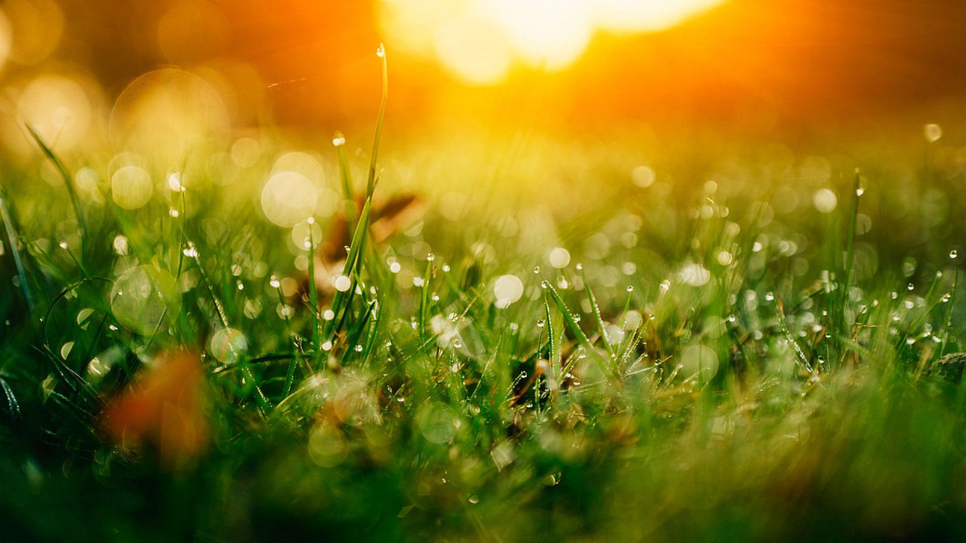 Ужасяващите неща, които се случват с природата в България, но не е ...